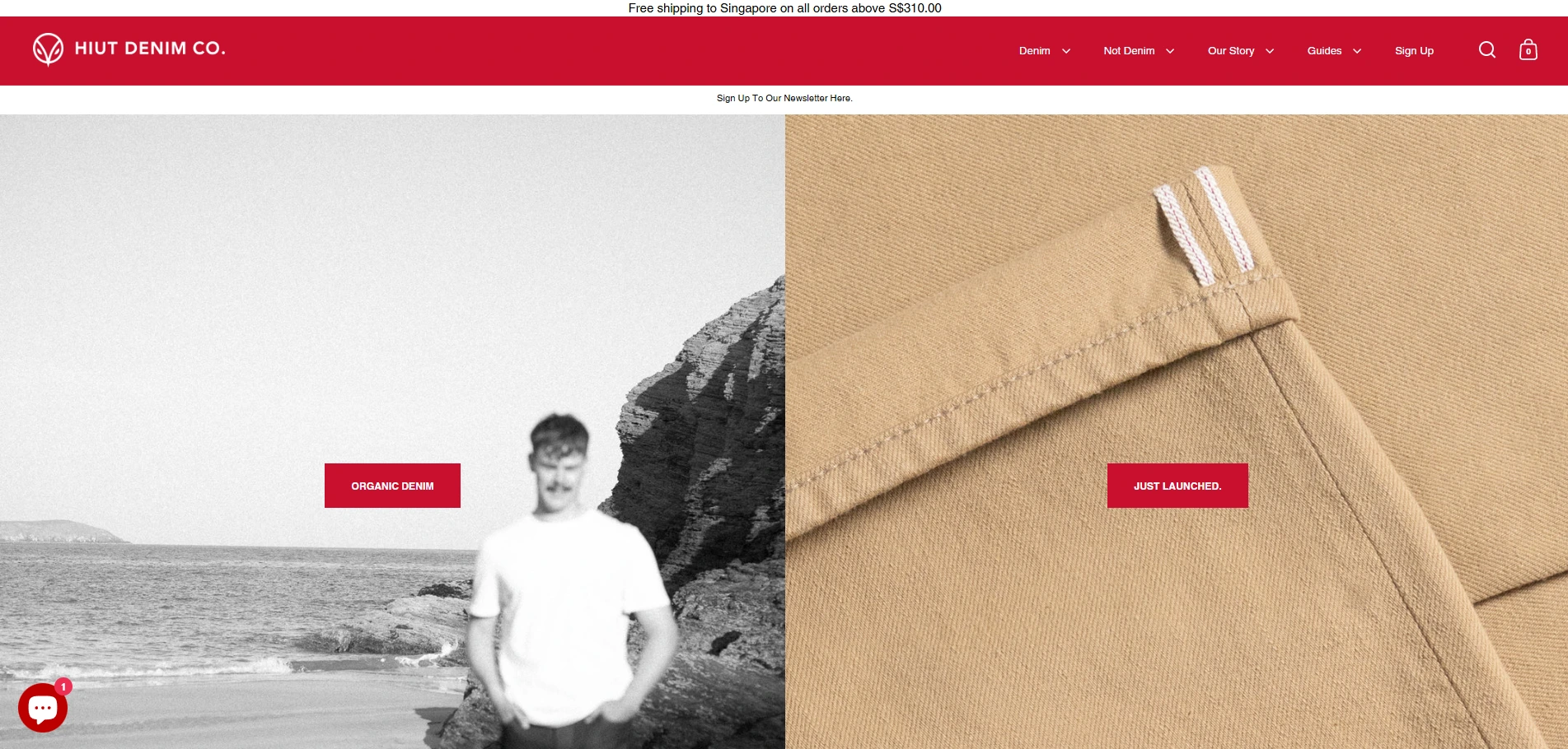 25 Inspiring Ecommerce Website Designs for 2025 | OOm